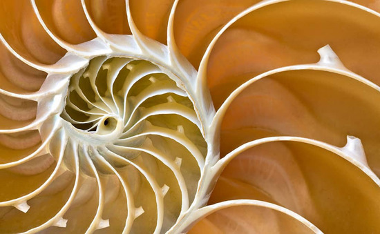 Image Resources - MDC Interior Solutions