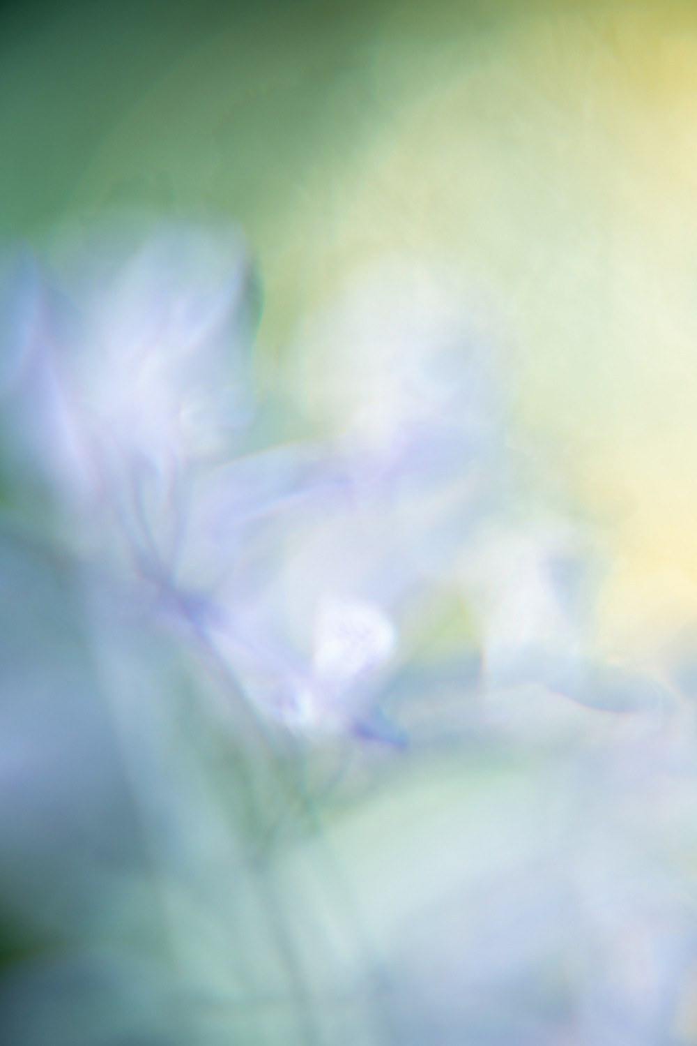 MDC Art - MDC Interior Solutions